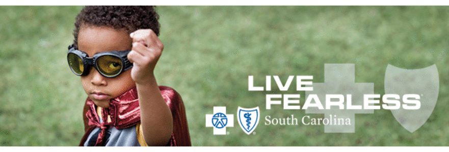 South Carolina Blues Corporate - Careers